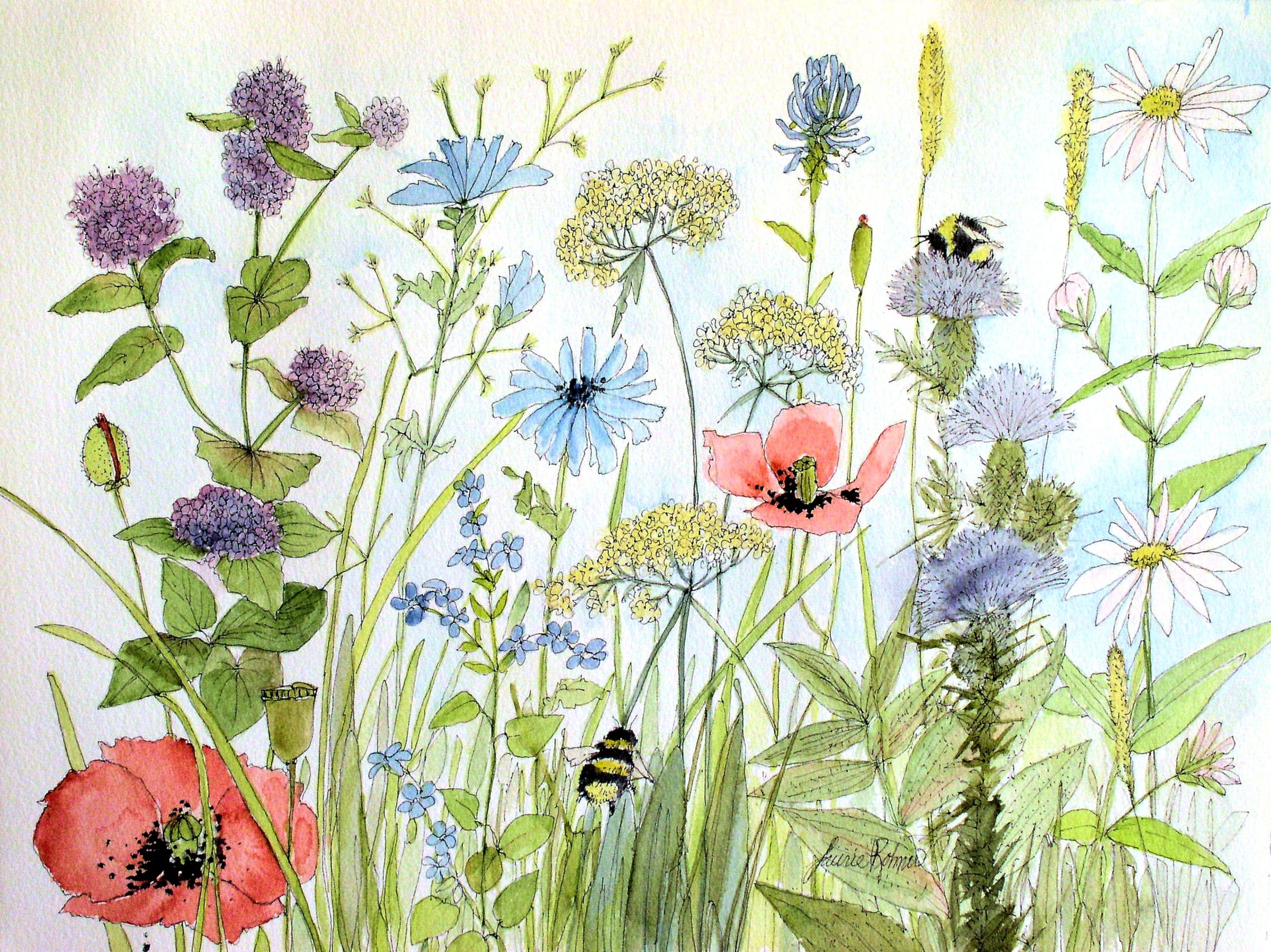 Watercolor Wildflowers